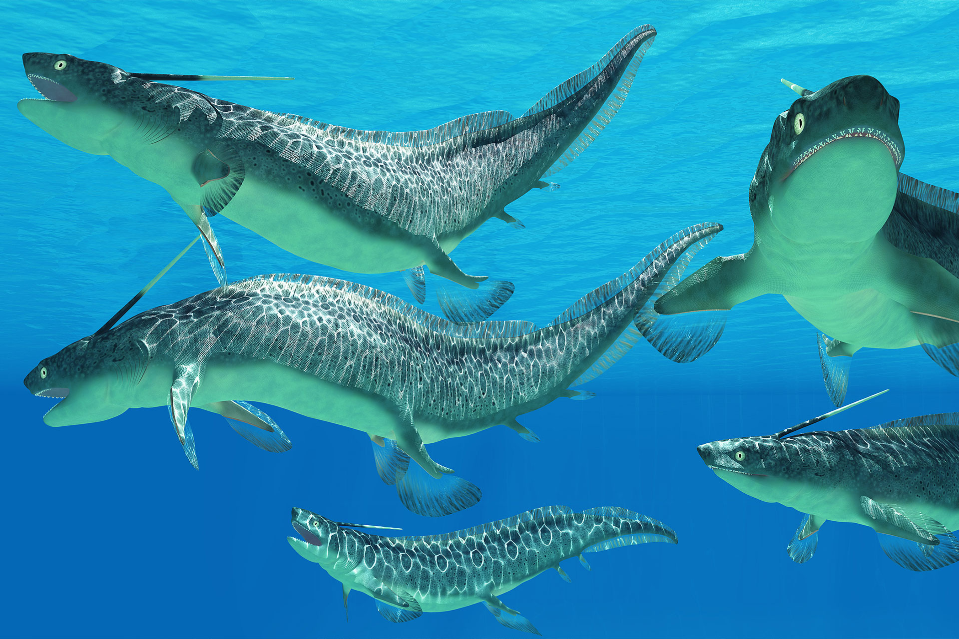 Devonian Period - Naranjo Museum